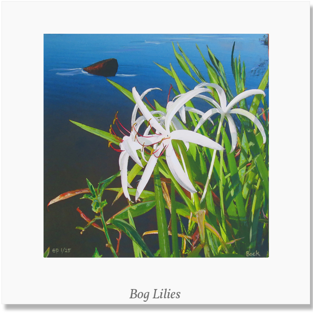 Photo Paints – William Bock Fine Art